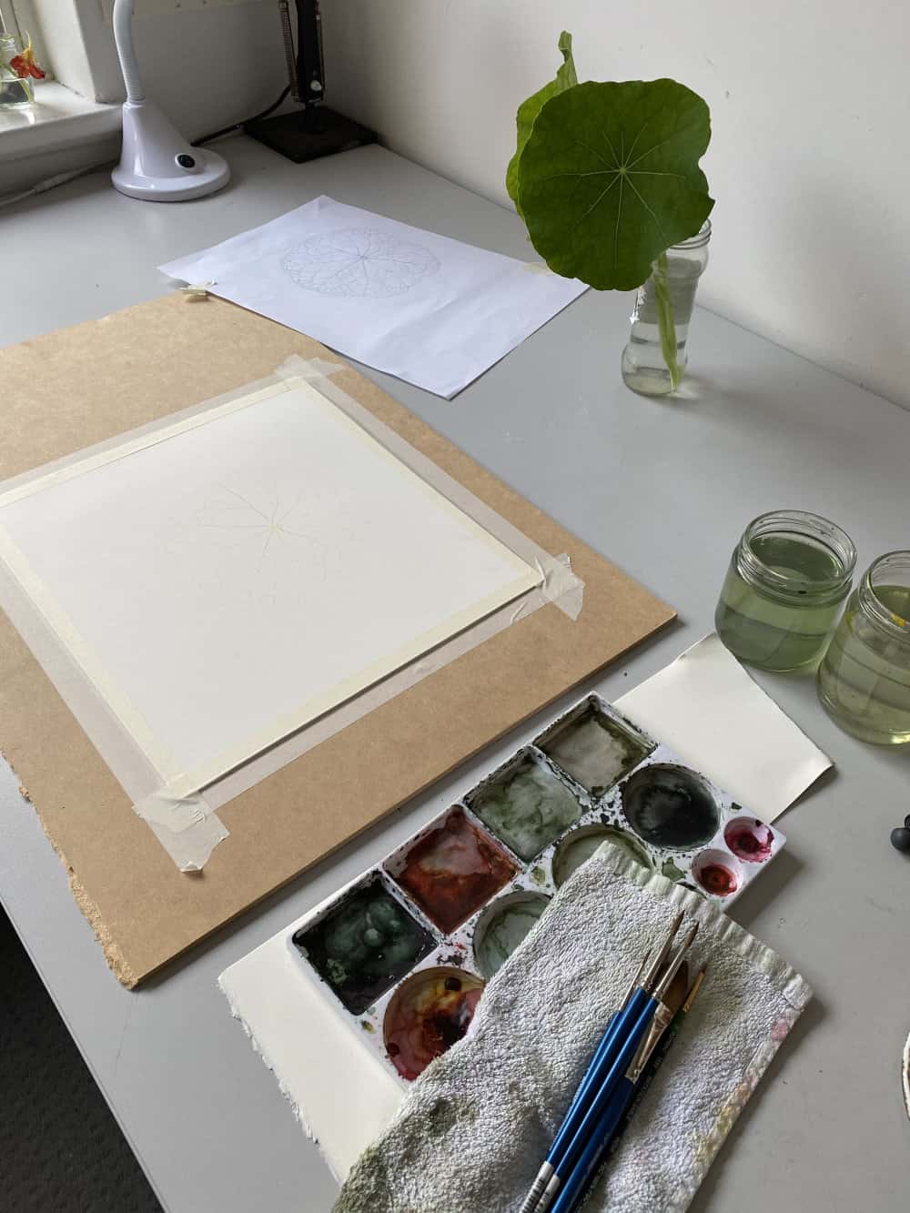 Introduction to Botanical Art Workshops - Friends of the Royal Botanic ...